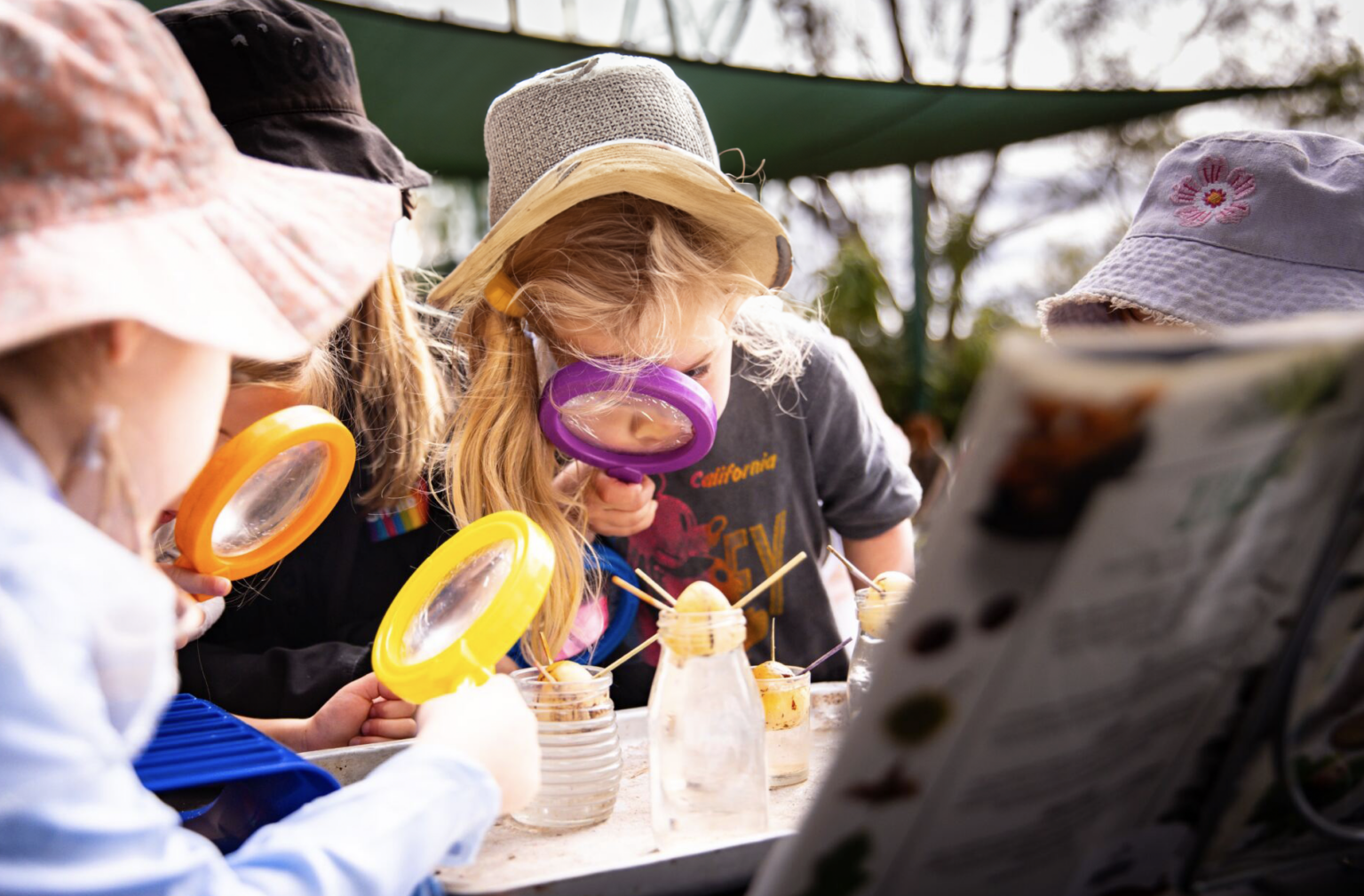 Big Fat Smile Community Preschools | Enriching Lives & Minds